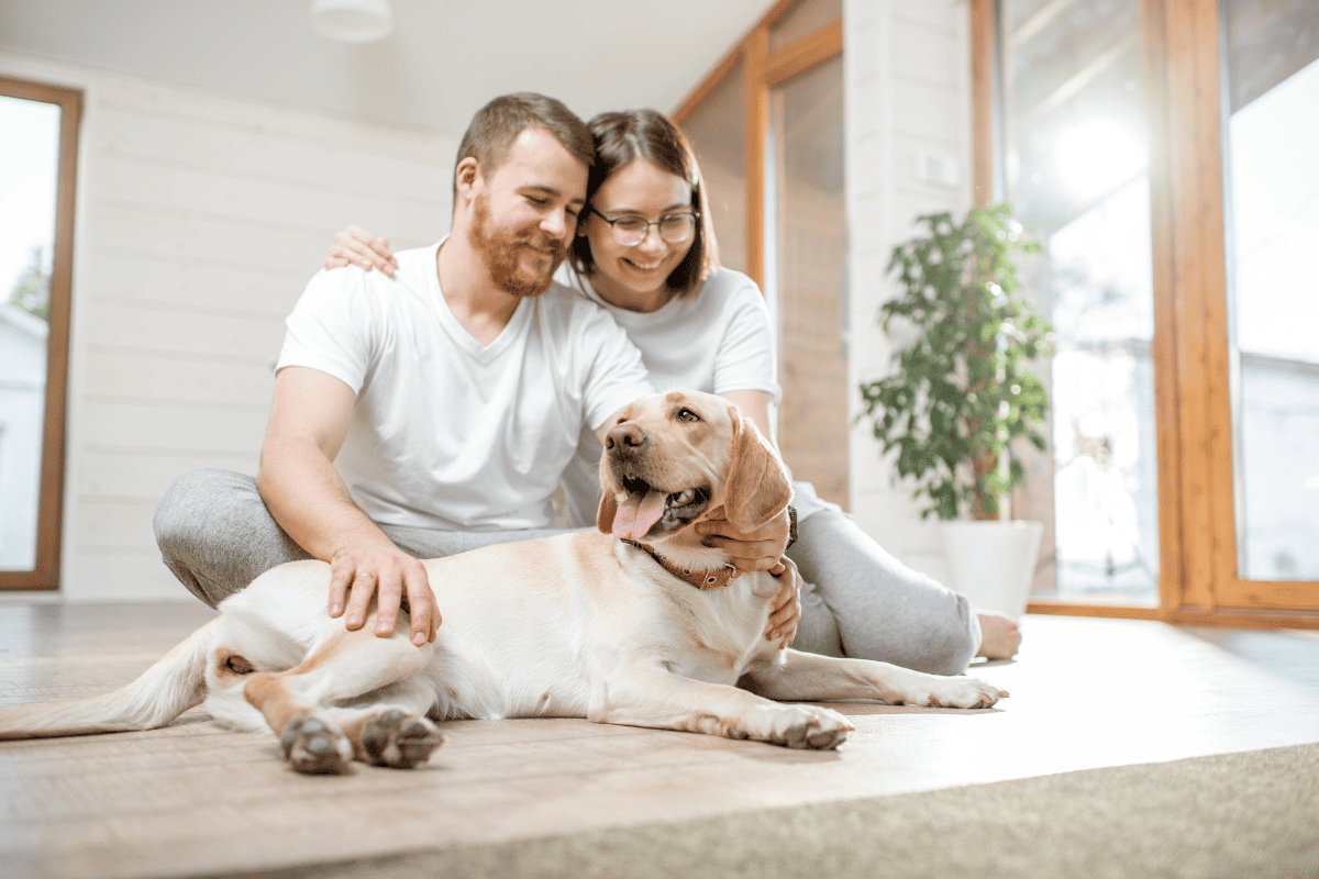 Adjustments on Moving with Your Dog